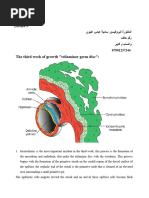 Third Week of Development: Trilaminar Germ Disc | PDF | Anatomy ...