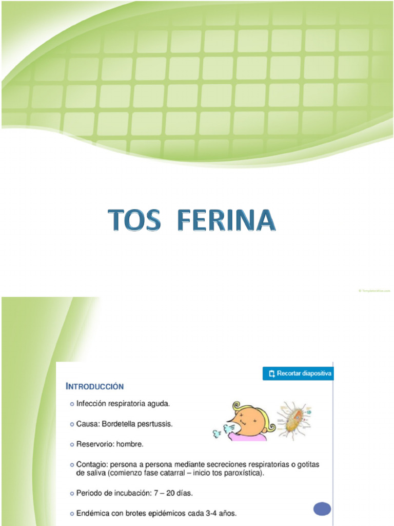 Tos Ferina | PDF | Inmunología | Medicina CLINICA