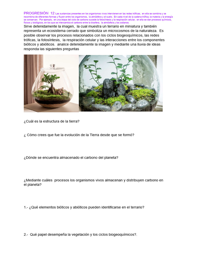 Progresion 12 Actividades | PDF | Ciclo del carbono | Agua