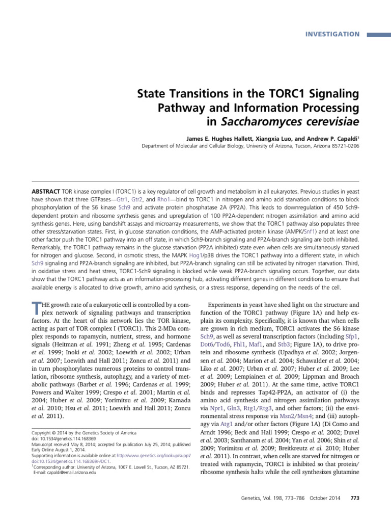 State Transitions in The TORC1 Signaling | PDF | Kinase | Cell Signaling