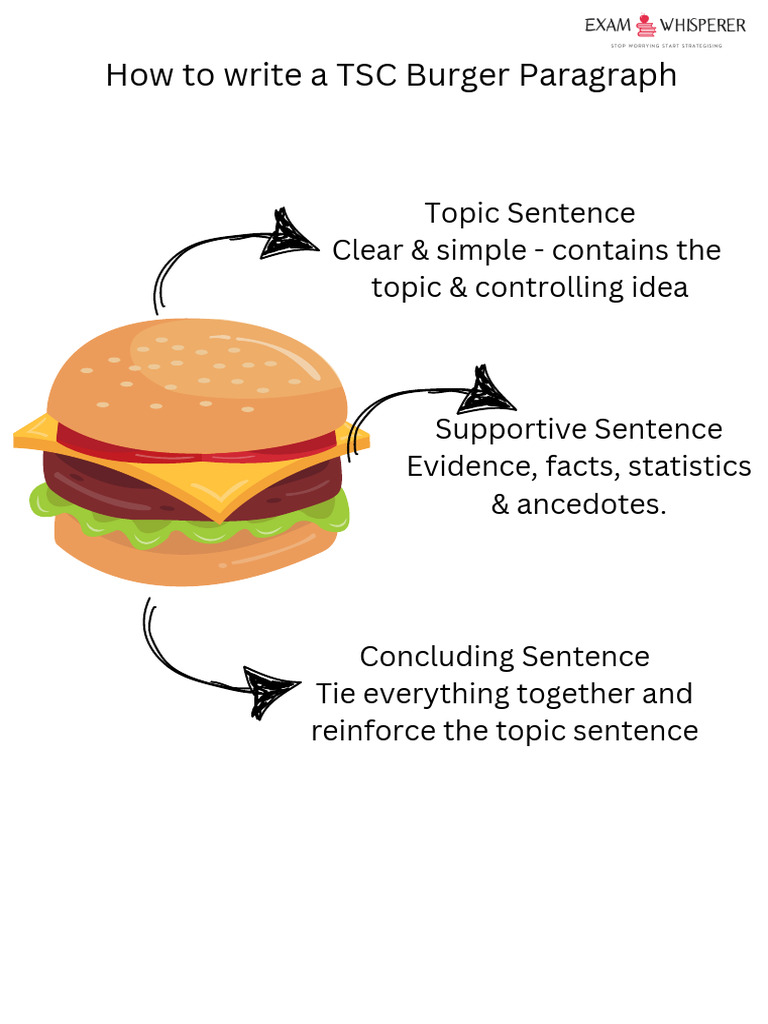 How To Write A TSC Burger Paragraph | PDF