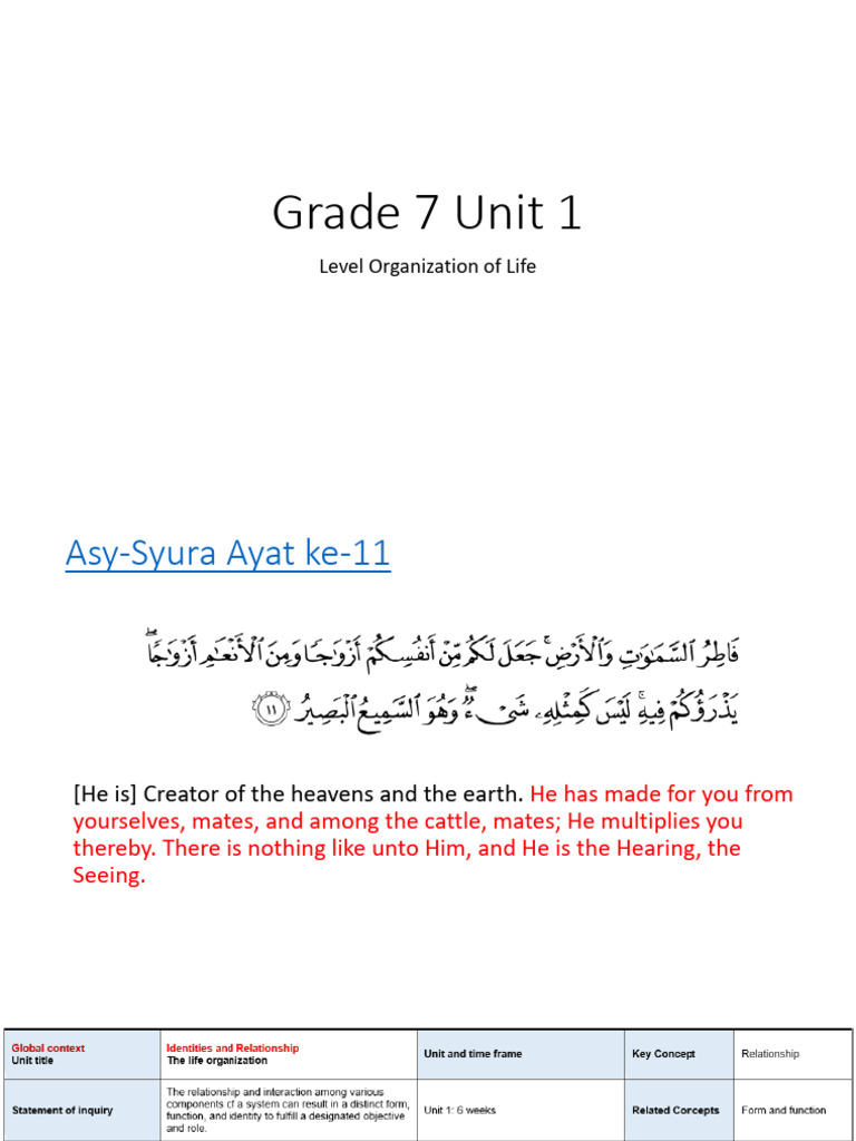 Grade 7 Life Organization Unit | PDF