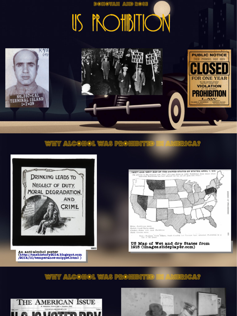 US Prohibition V2 | PDF