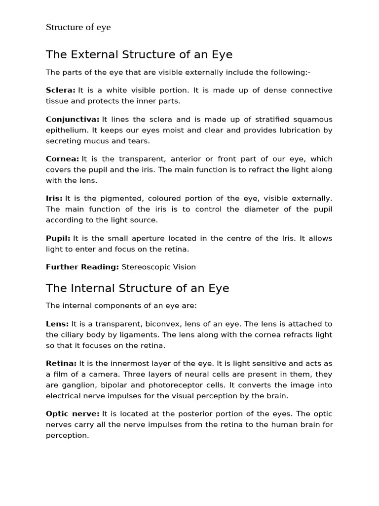 Structure of An Eye | PDF