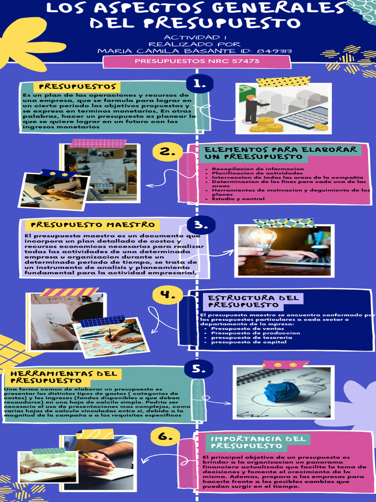 INFOGRAFIA PRESUPUESTOS | PDF