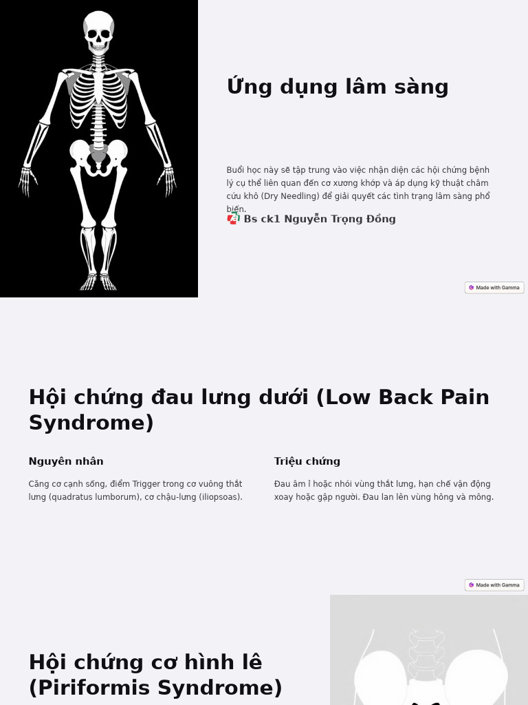 8.Tinh Huong Lam Sang Va Cac Hoi Chung Benh Ly Cu the Can Dry Needling | PDF