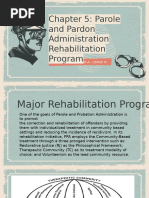 BFP Ranks Positions Insignias | PDF