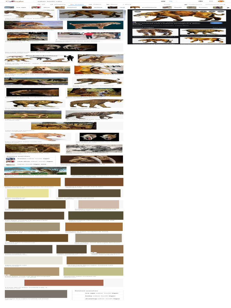 Saber Tooth Cats - Google Search | PDF | Felidae | Zoology