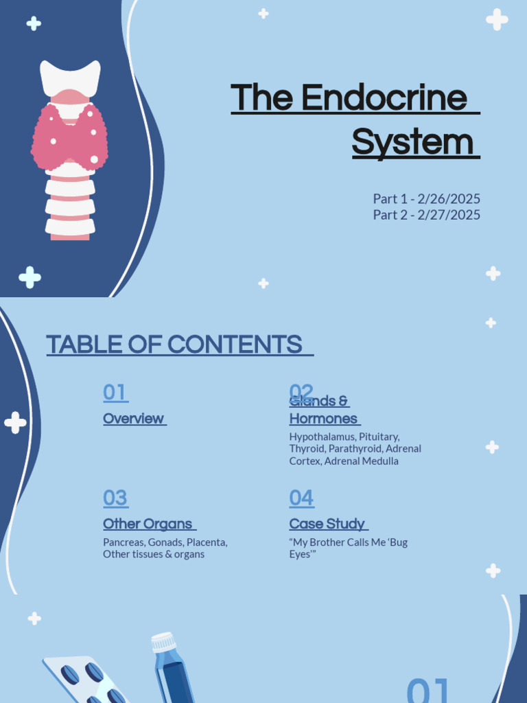 Overview of the Endocrine System | PDF | Endocrine System | Hormone