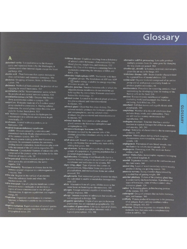 Glossary | PDF