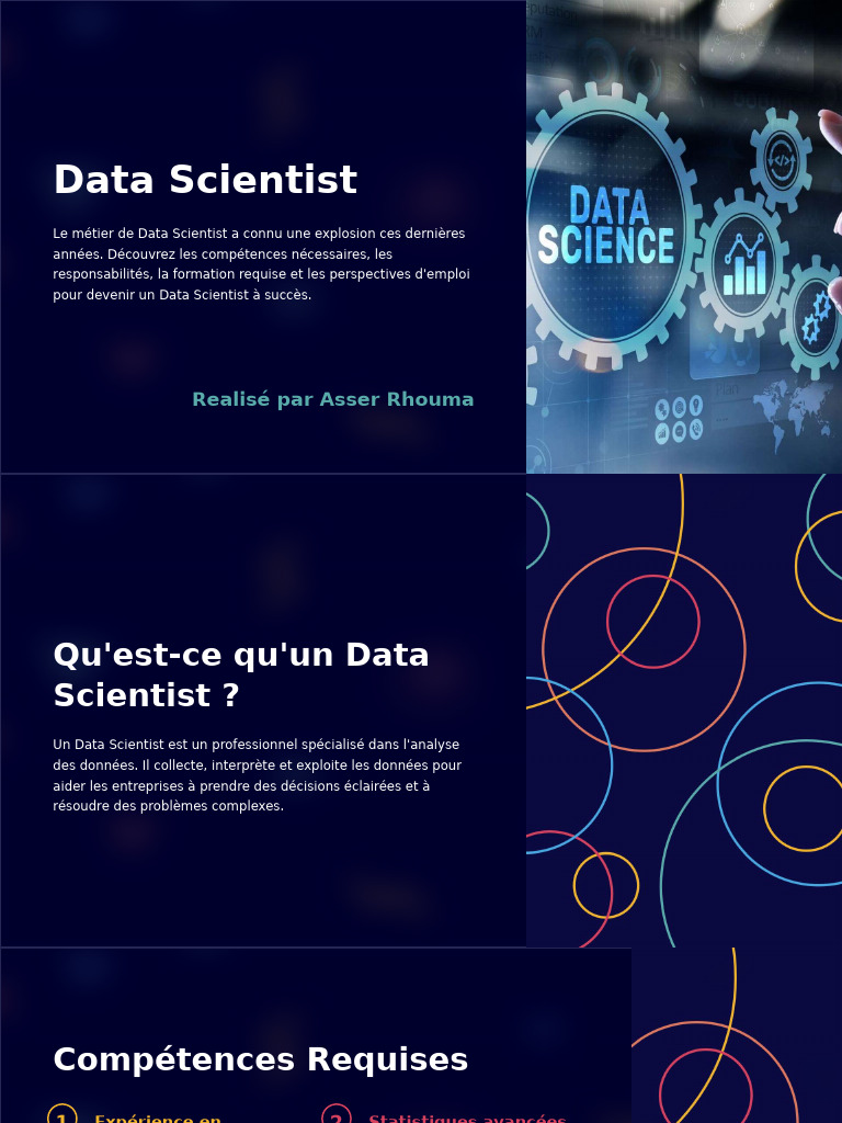 Data Scientist | PDF | Science des données | Statistiques