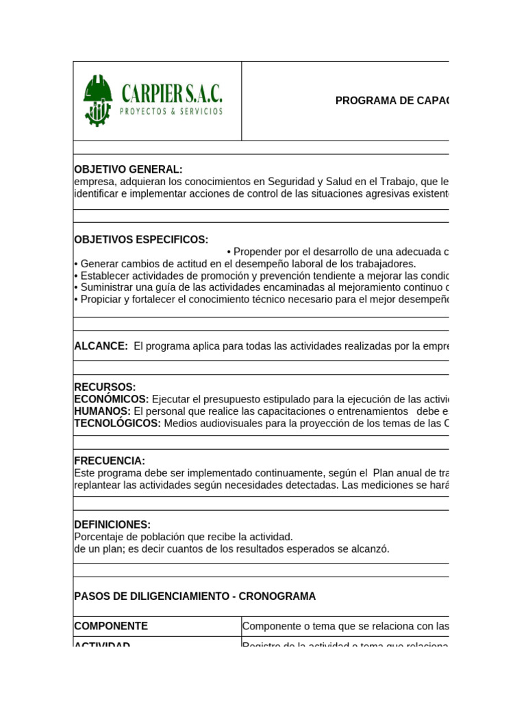 Programa Anual de Capacitacion | PDF