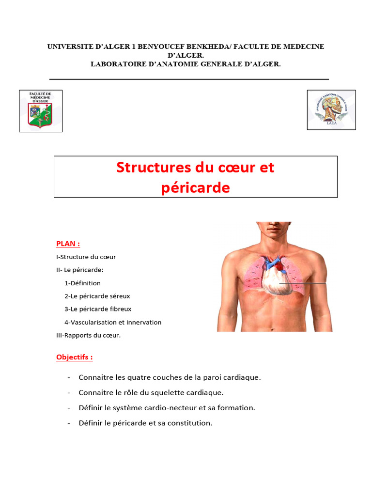 Anatomie du cœur et du péricarde | PDF | Cœur | Spécialités médicales