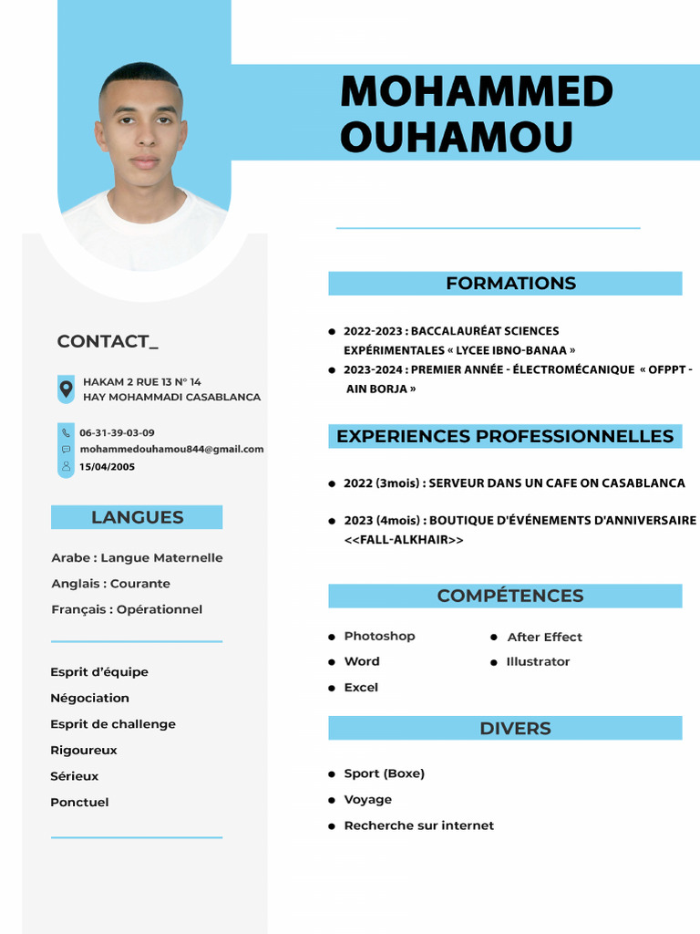 Mohammed CV 2 | PDF