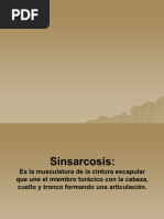 Miotomas - Definición y Pruebas - Kenhub | PDF | Codo | Neuroanatomía