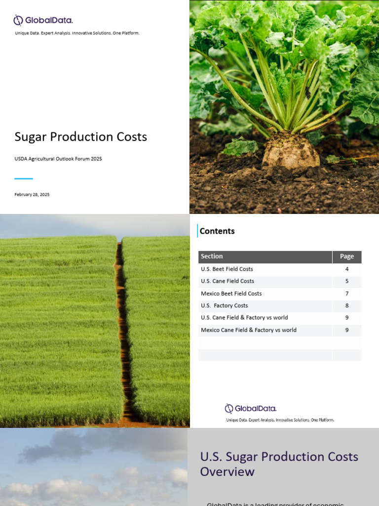 2.28 - 145-315pm - Paula Bauer Globladata LMC USDA Sugar Production ...