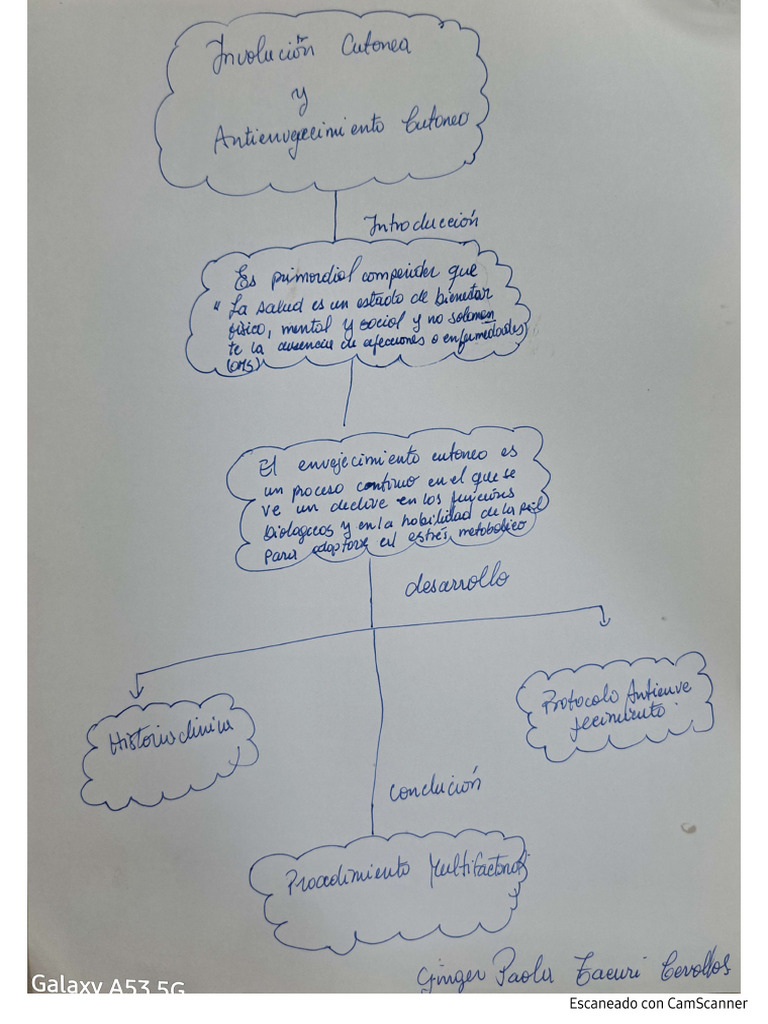 Involución Cutanea y Antienvejecimiento Cutaneo | PDF