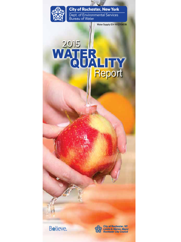 2015 Water Quality Report | PDF | Water Purification | Drinking Water