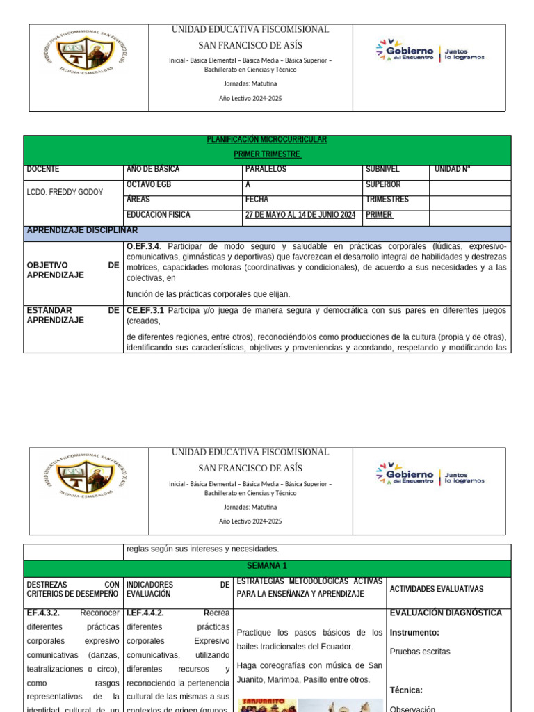 2024-25 Micro Planificacion Actualizada | PDF | Evaluación | Enseñando