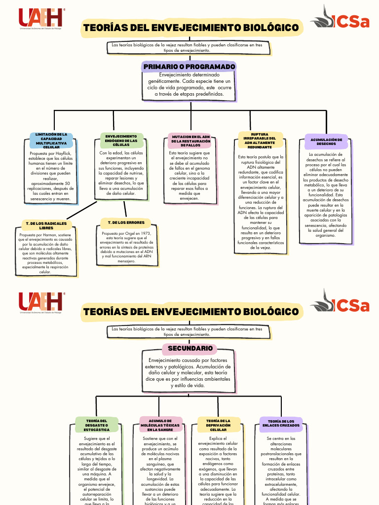 Teorías Biológicas Del Envejecimiento | PDF | Envejecimiento | Hormona