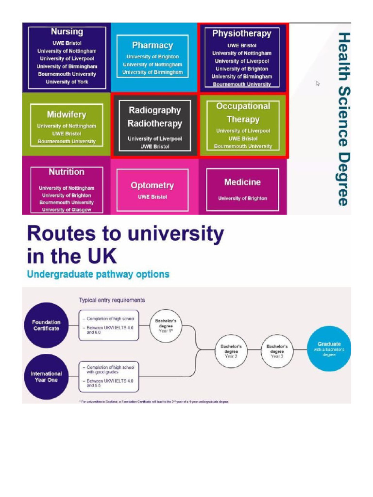 UK Foundation Programmes | PDF