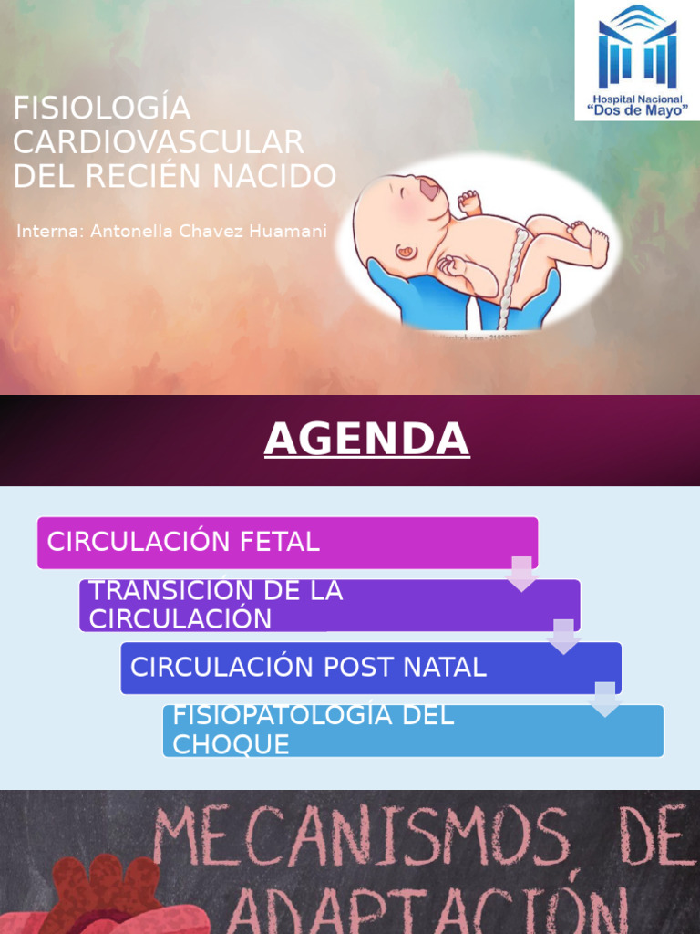 Fisiología Cardiovascular Del Recién Nacido | PDF | Corazón | Sistema ...