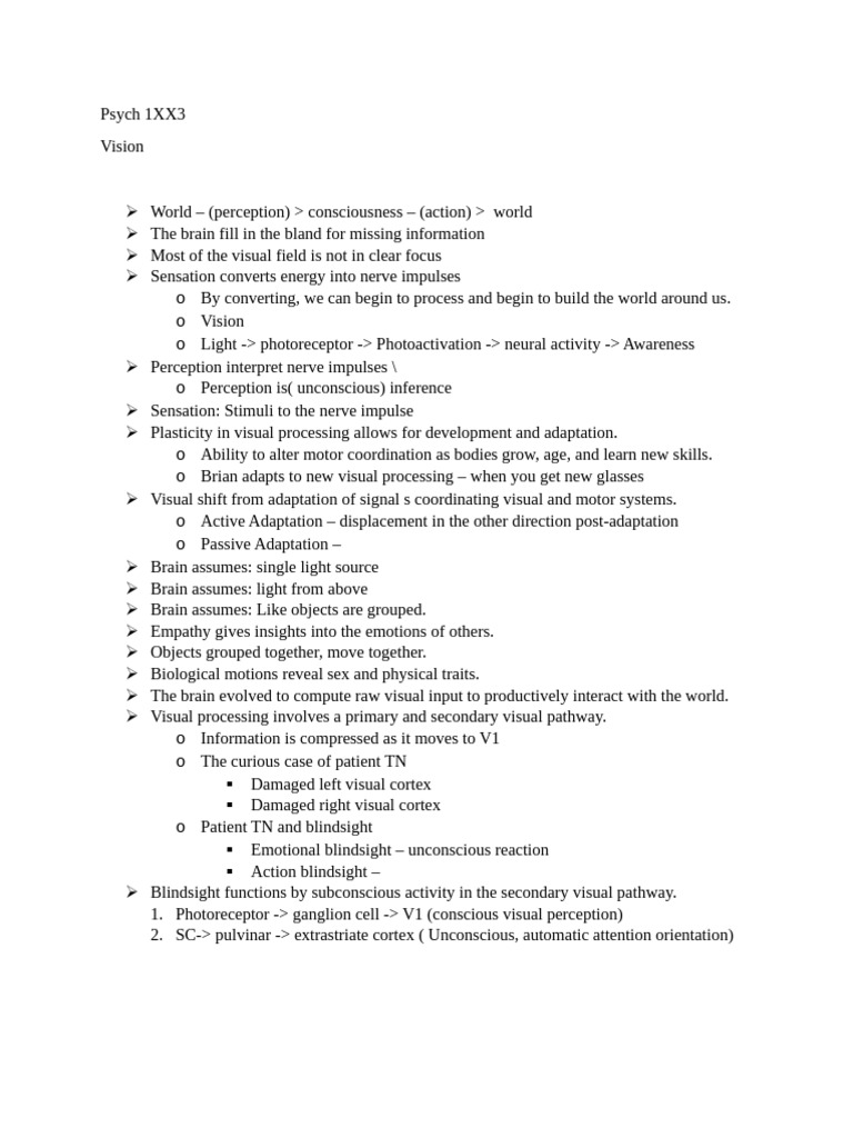 Understanding Retina in AP Psychology | PDF | Visual System | Retina