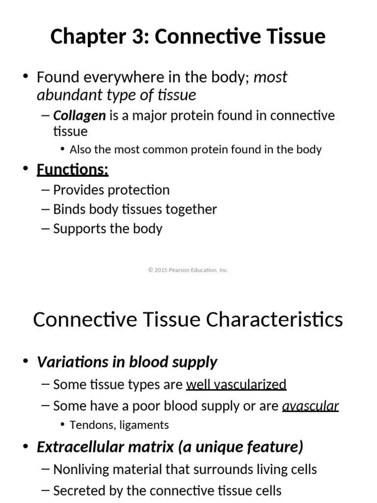 Ch-3-Connective-Tissue | PDF | Connective Tissue | Extracellular Matrix