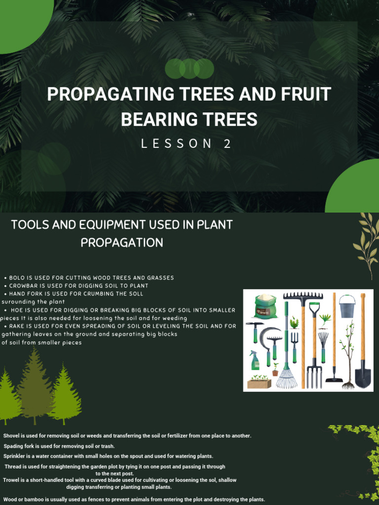 Lesson 3 - Propagating Tress and Fruit Bearing Trees | PDF | Grafting ...