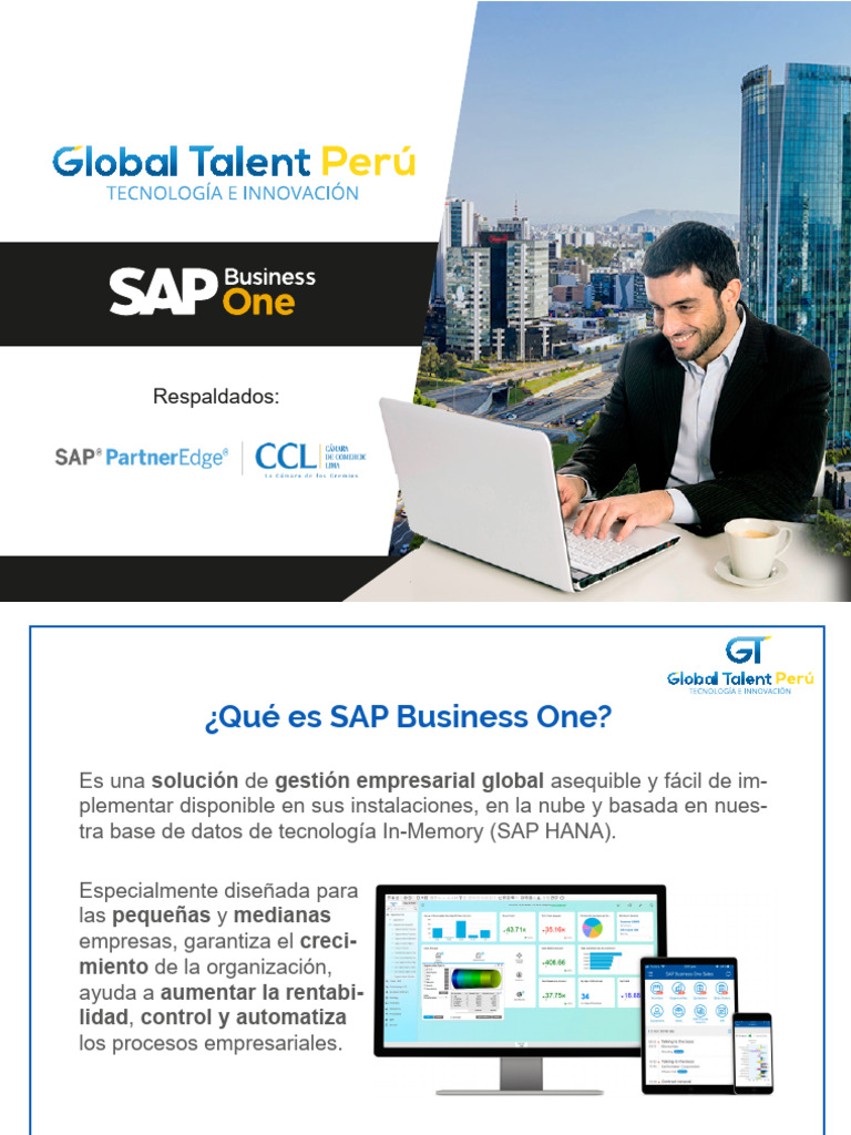 Training SAPB1 | PDF | Contabilidad | Industrias de servicio