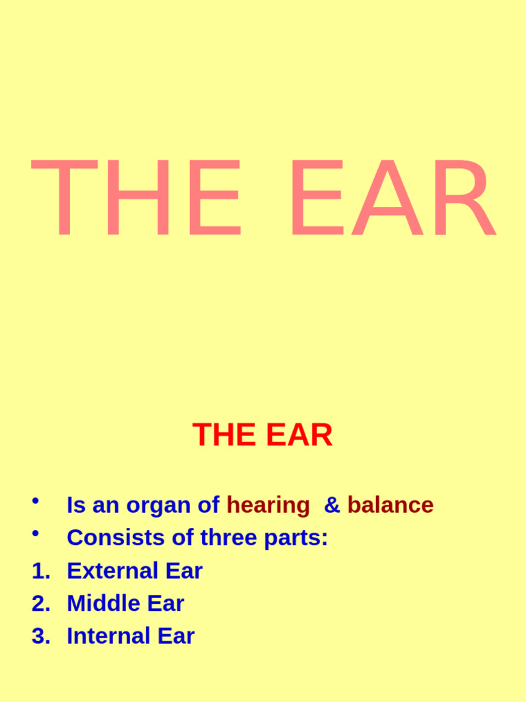 24 The Ear 111 Pdf Ear Auditory System
