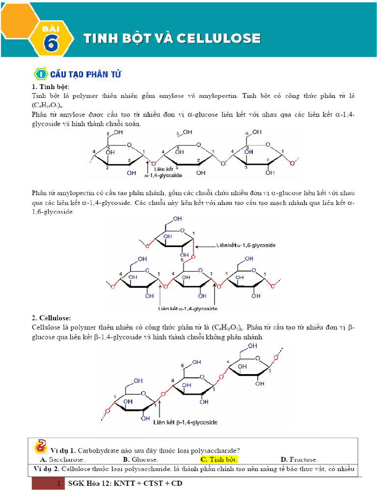 Bai 6 Tinh Bot Va Cellulose Gvdocx - 1600 - PDF - Gdrive.vip | PDF