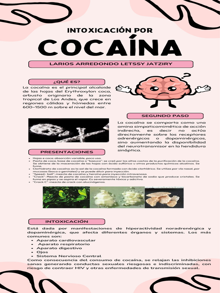 Larios Arredondo Letssy Jatziry | PDF