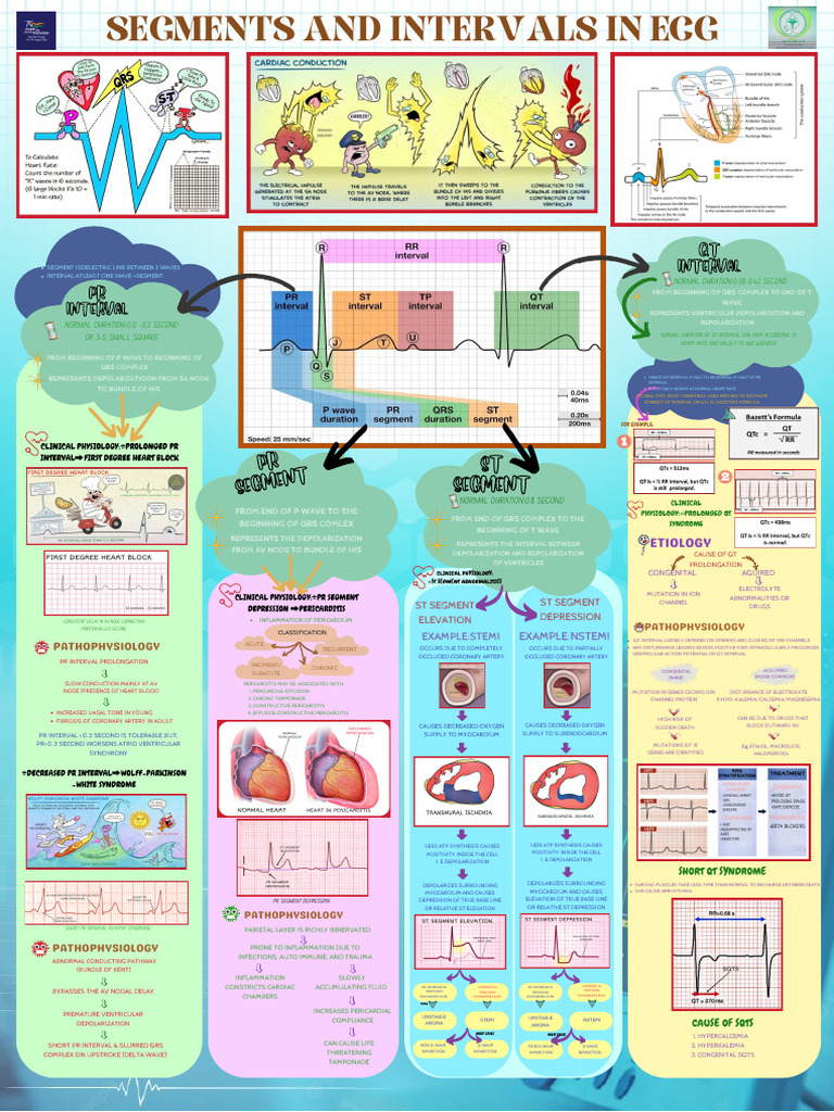 Segments and Intervals of Ecg | PDF | Electrocardiography | Myocardial ...