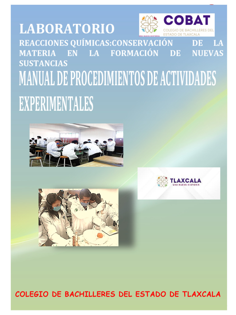 Copia de Manual Reacciones Químicas Conservación de La Materia en La ...