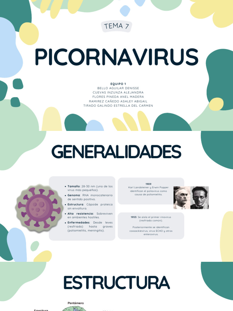 Generalidades sobre Picornavirus y Enfermedades | PDF | Medicina ...