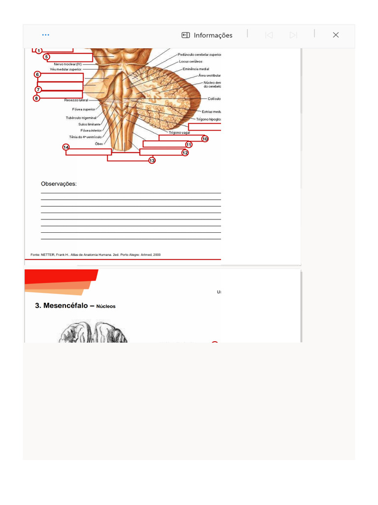 Roteiros Lpi e LMF - Onedrive | PDF