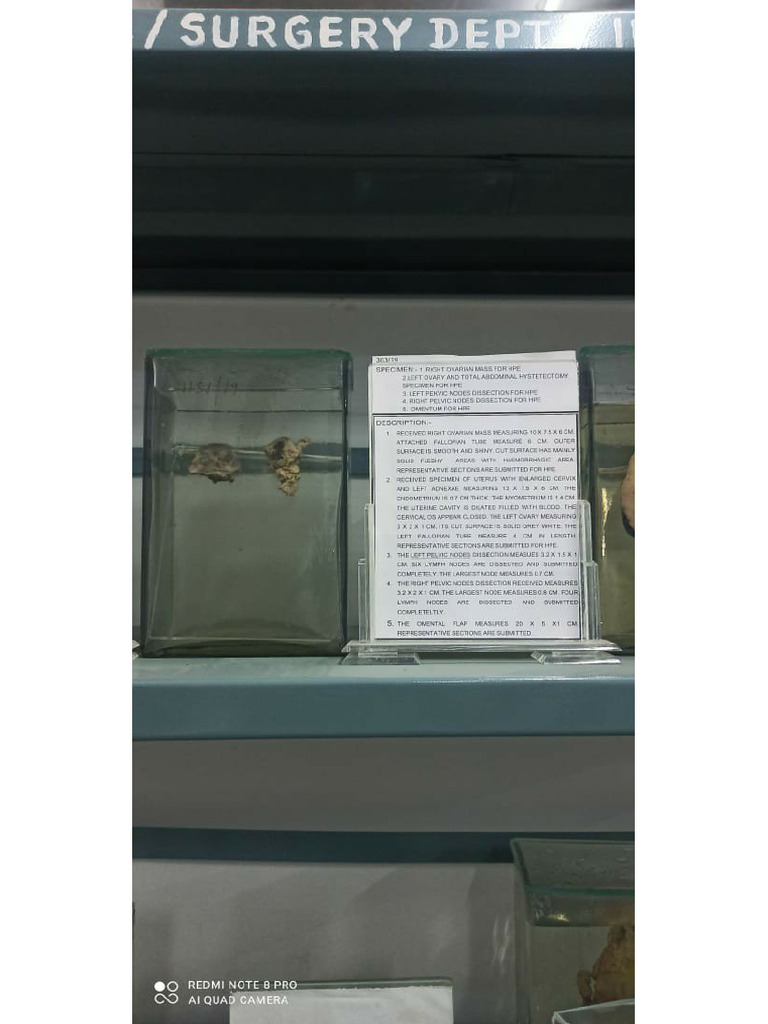 surgery specimen-1 | PDF