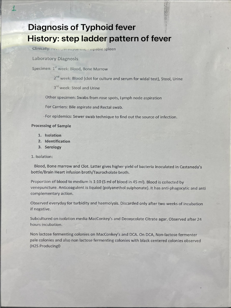 Typhoid Fever Laboratory Diagnosis | PDF