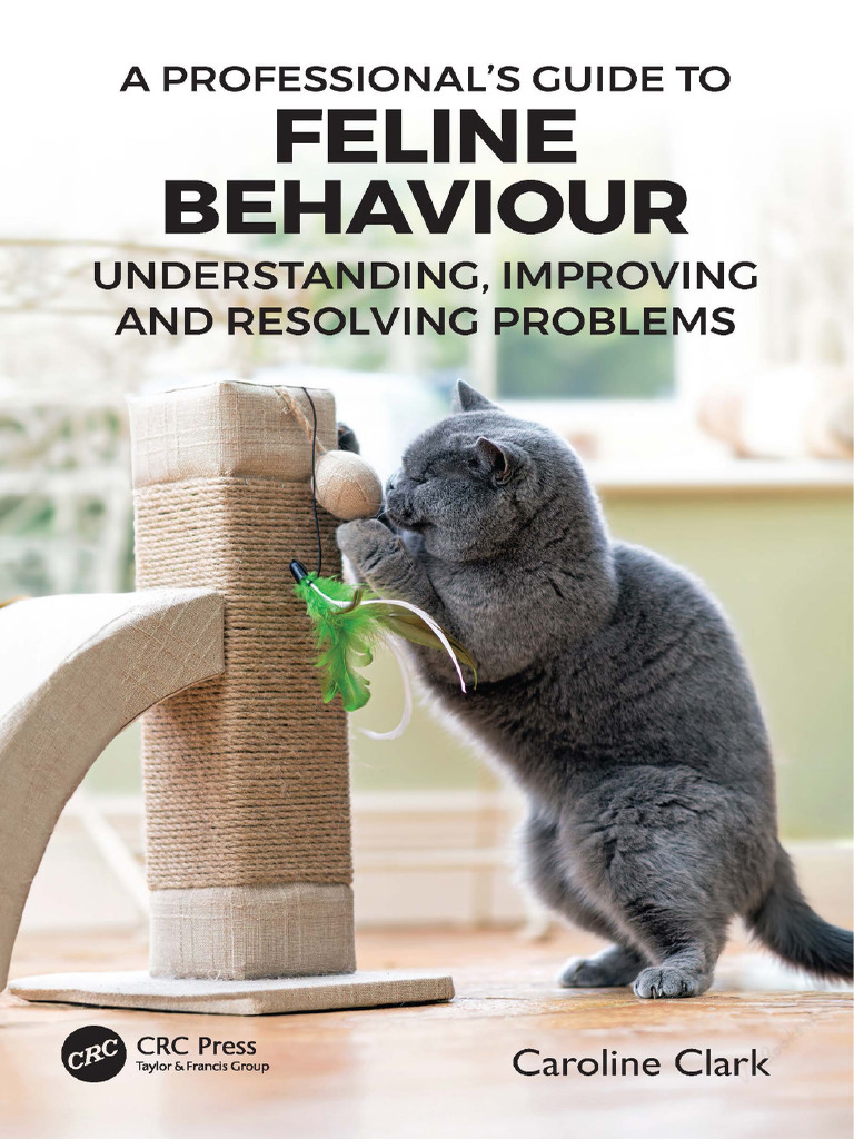 A Professional's Guide To Feline Behaviour Understanding, Improving and ...