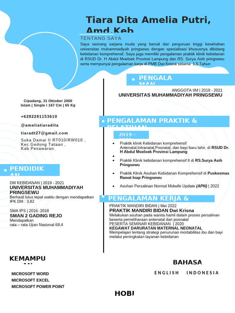 TERBARU CV TIARA | PDF