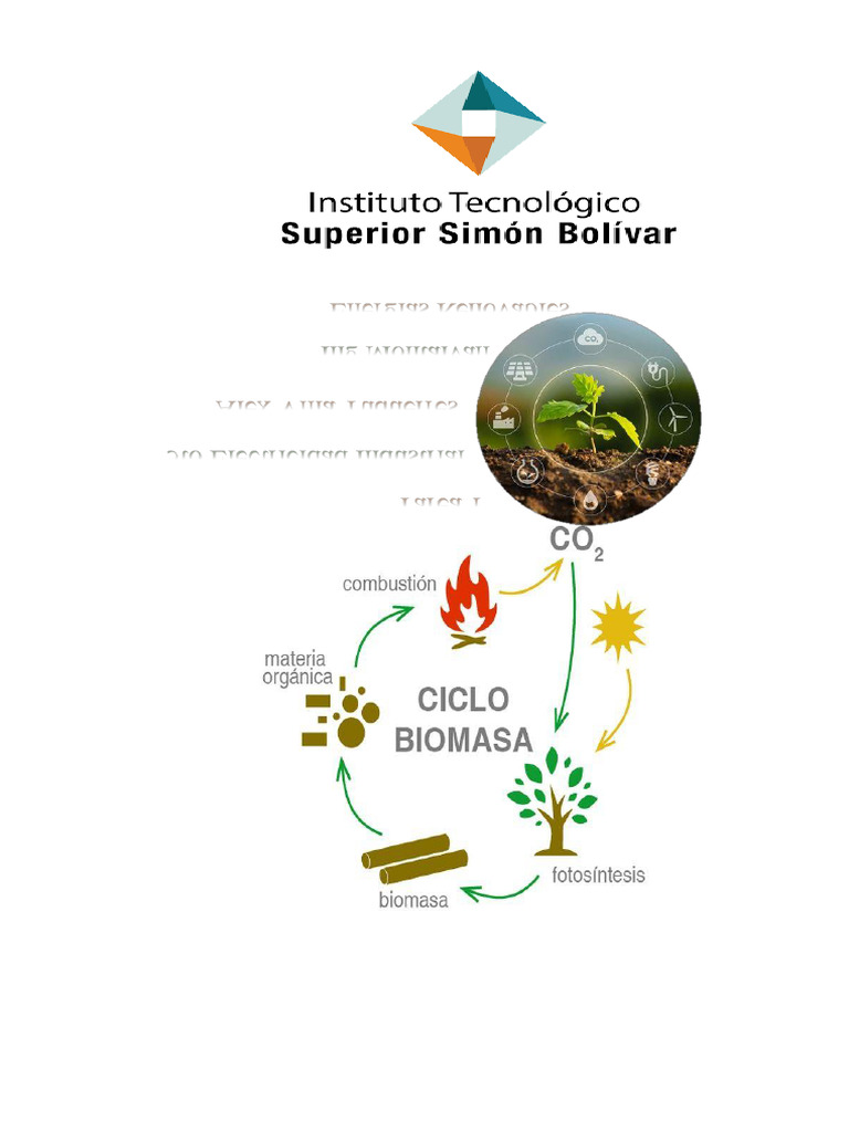 TAREA BIOMASA 1 (1) | PDF | Biogás | Digestión anaeróbica