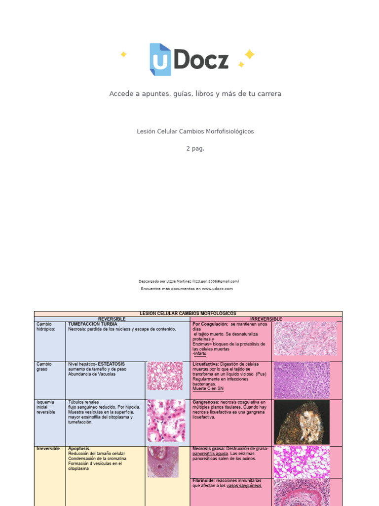 Lesion Celular Cambi 551545 Downloadable 3709274 | PDF | Necrosis ...