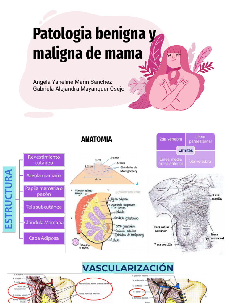 CA Mama | PDF | Cáncer | Pecho