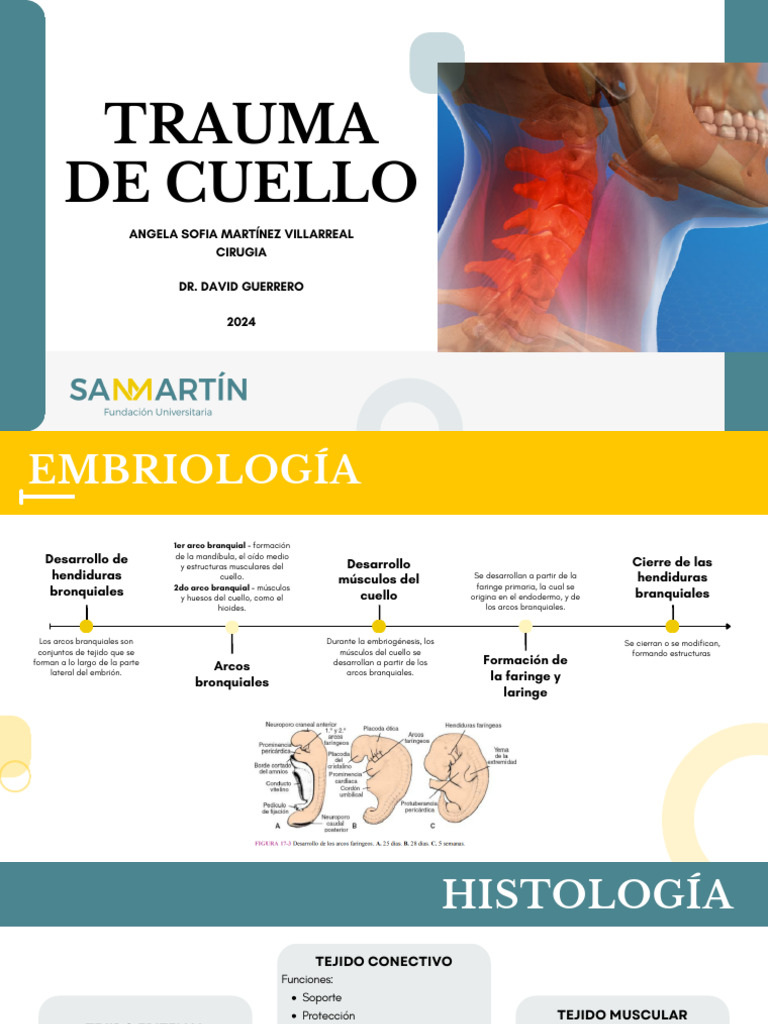 Trauma de Cuello | PDF | Tiroides | Epitelio