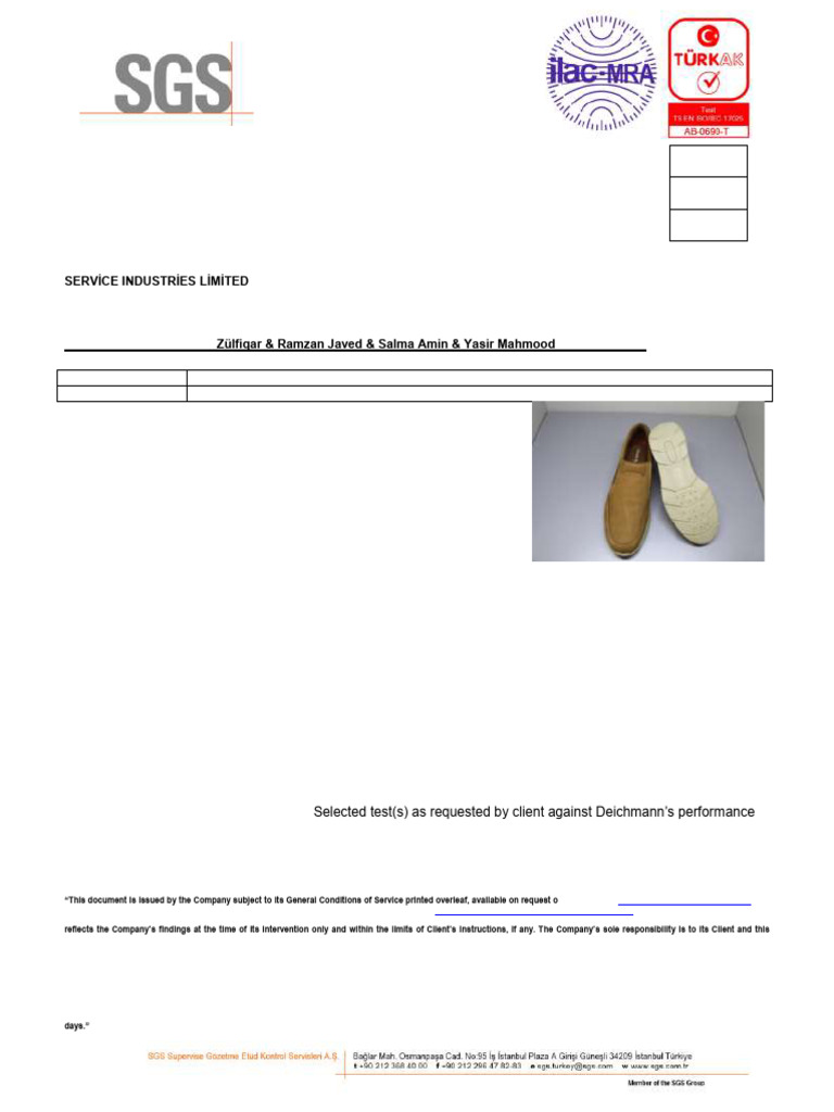 Test Report for Brown Leather Shoes | PDF | Ultraviolet–Visible ...