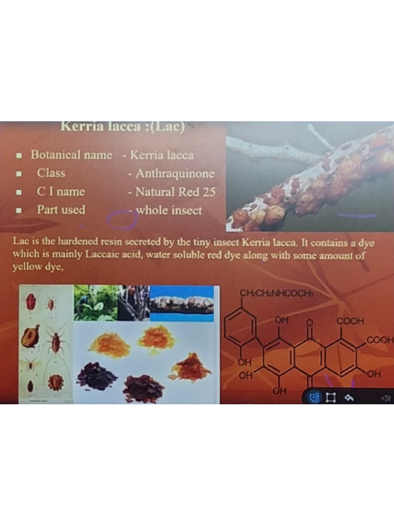 Natural Dyes | PDF