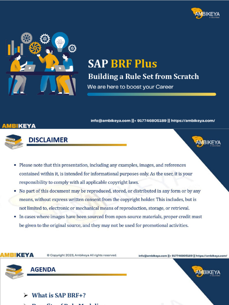 SAP BRF PLUS - Building Rules Set From Scratch | PDF | Regulatory Compliance