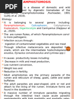 Paramphistomum Cervi: Morphology & Control | PDF
