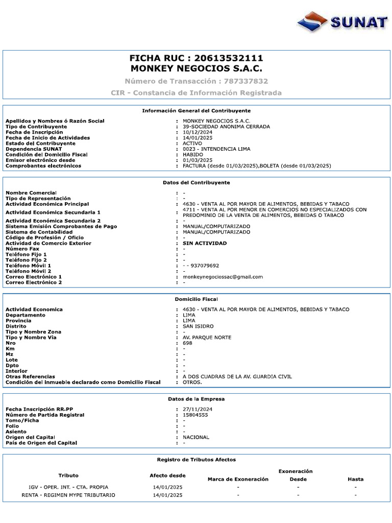 Ficha Ruc Monkey | PDF